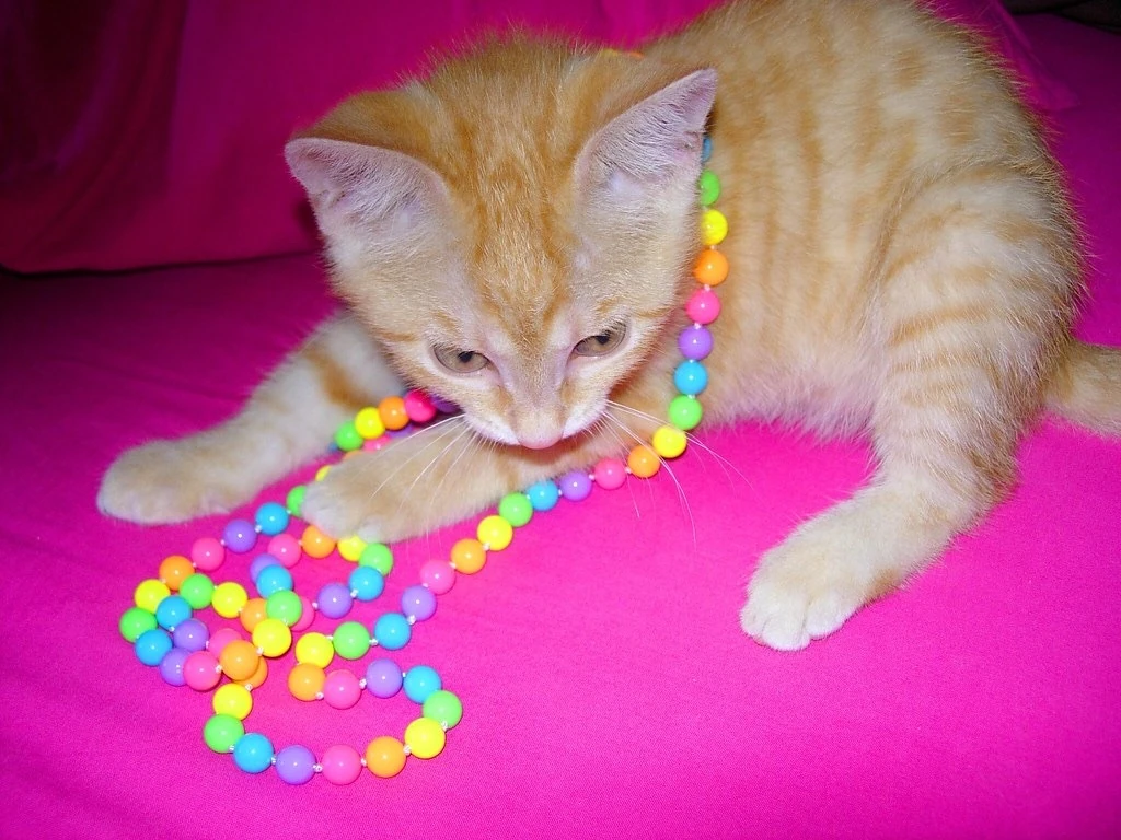 Trading Cryptoth | Fandom