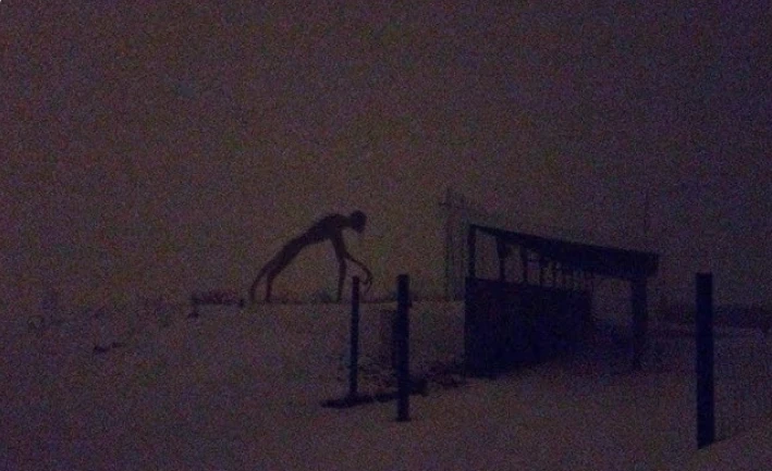 The Fella of East Gazoland! | Fandom