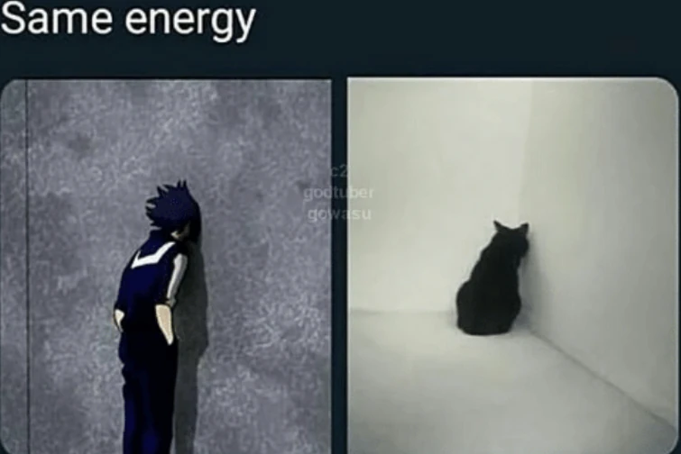 amajiki memes | Fandom