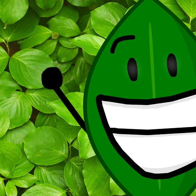 Remaking Icons: Leafy | Fandom