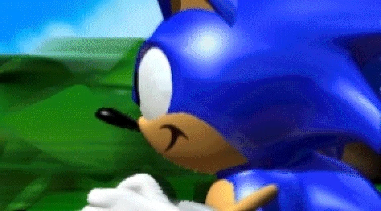 Caption this in relation to the Sonic community | Fandom