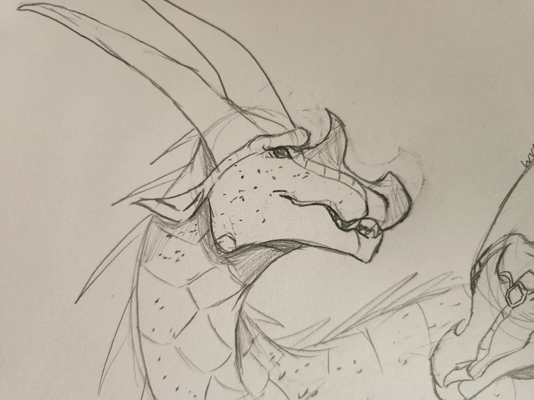 Discuss Everything About Wings of Fire Wiki | Fandom