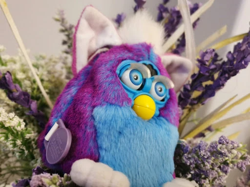 New Furb! | Fandom