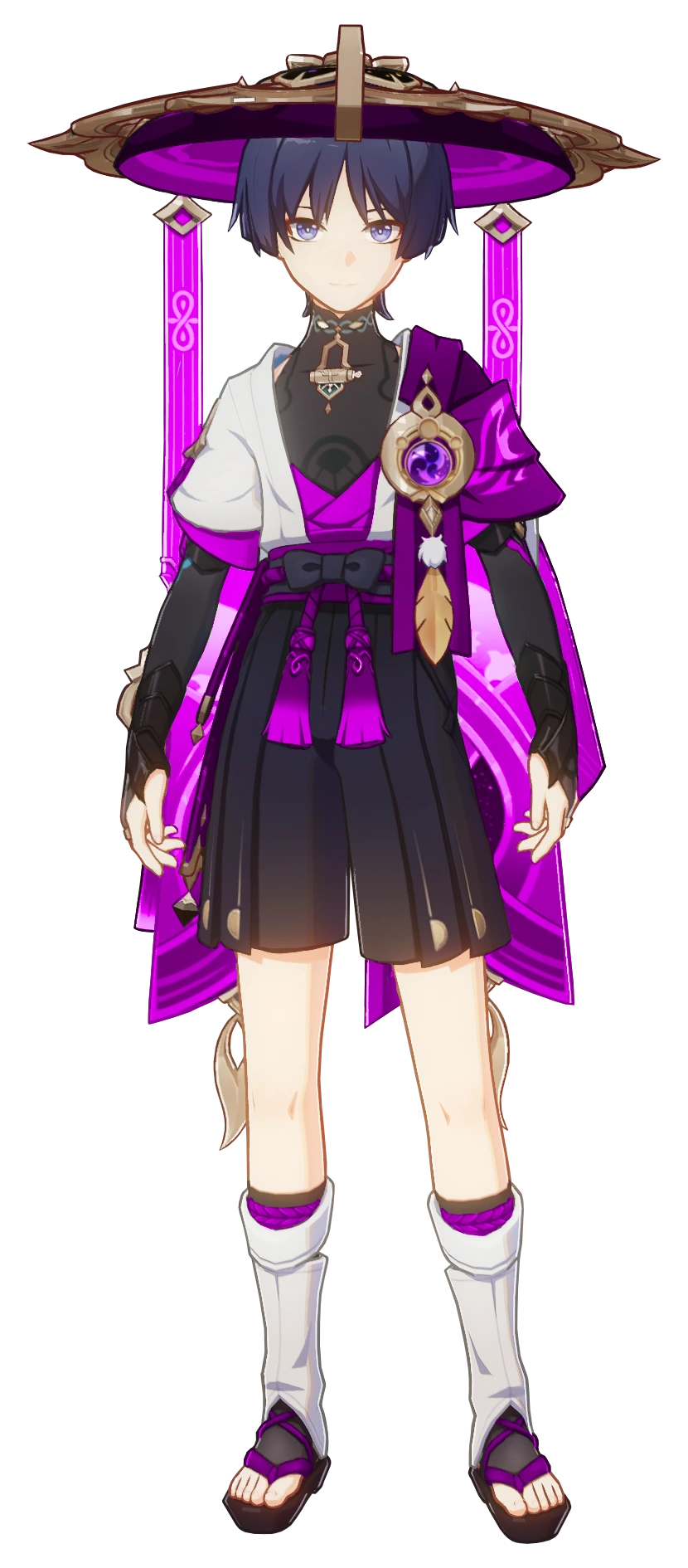 Electro Wanderer | Fandom