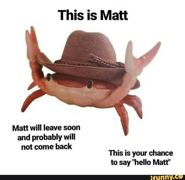 Say Hi to Matt | Fandom
