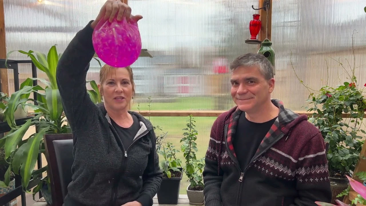 The ORIGINAL composer of msm is letting US help create a new song! | Fandom