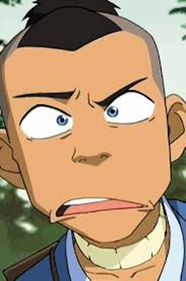 Sokka can bend. | Fandom