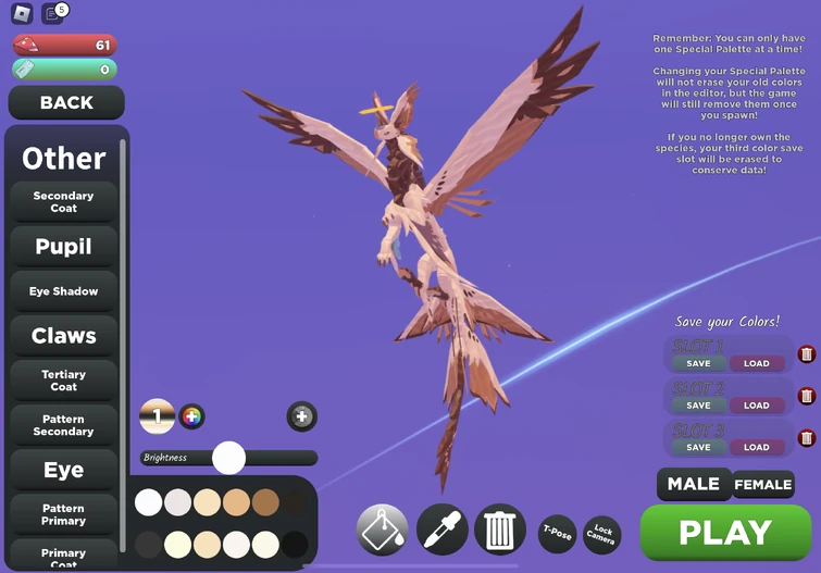 my aer skins before and after the remodel | Fandom