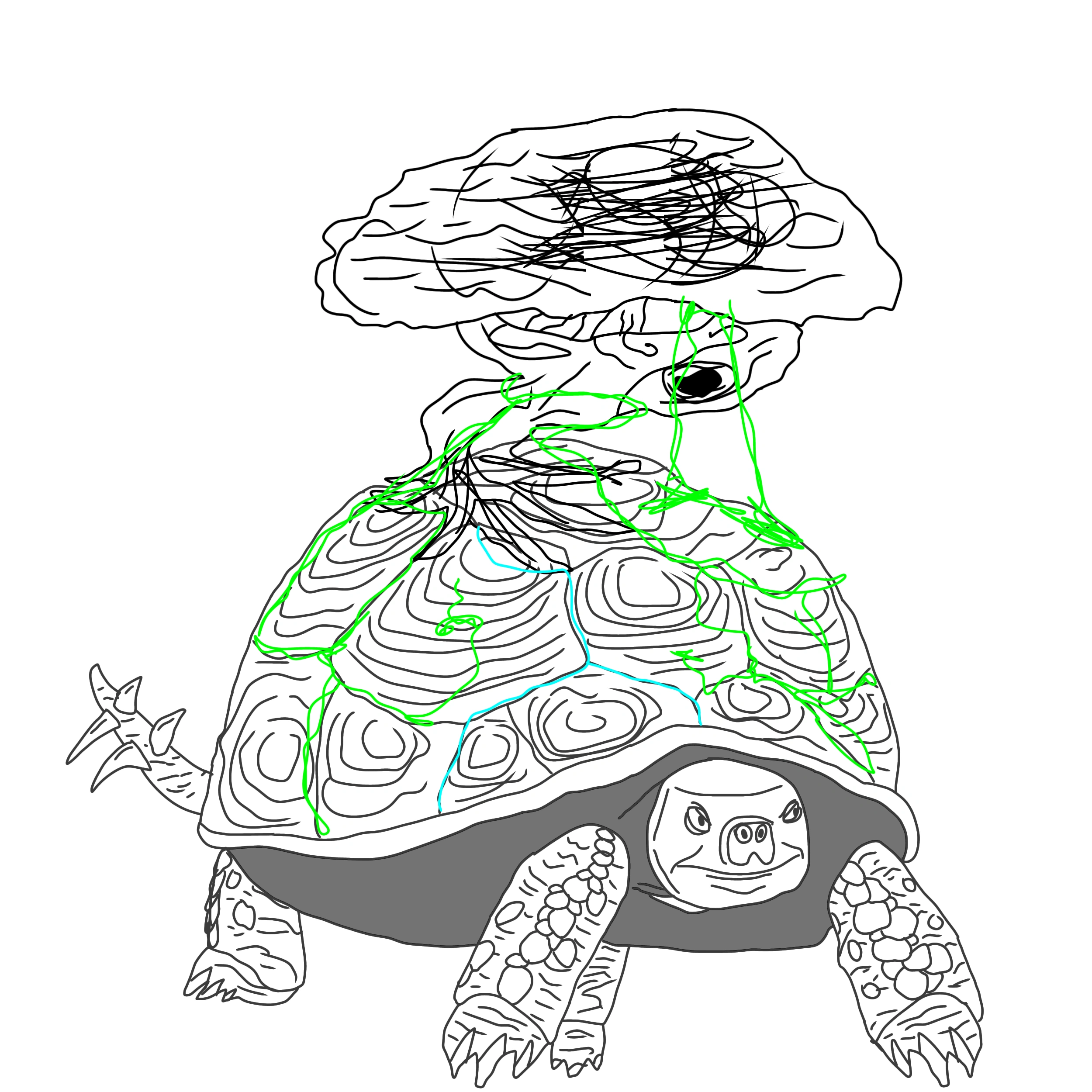 My Amber island plant quint prediction! (Concept art) | Fandom