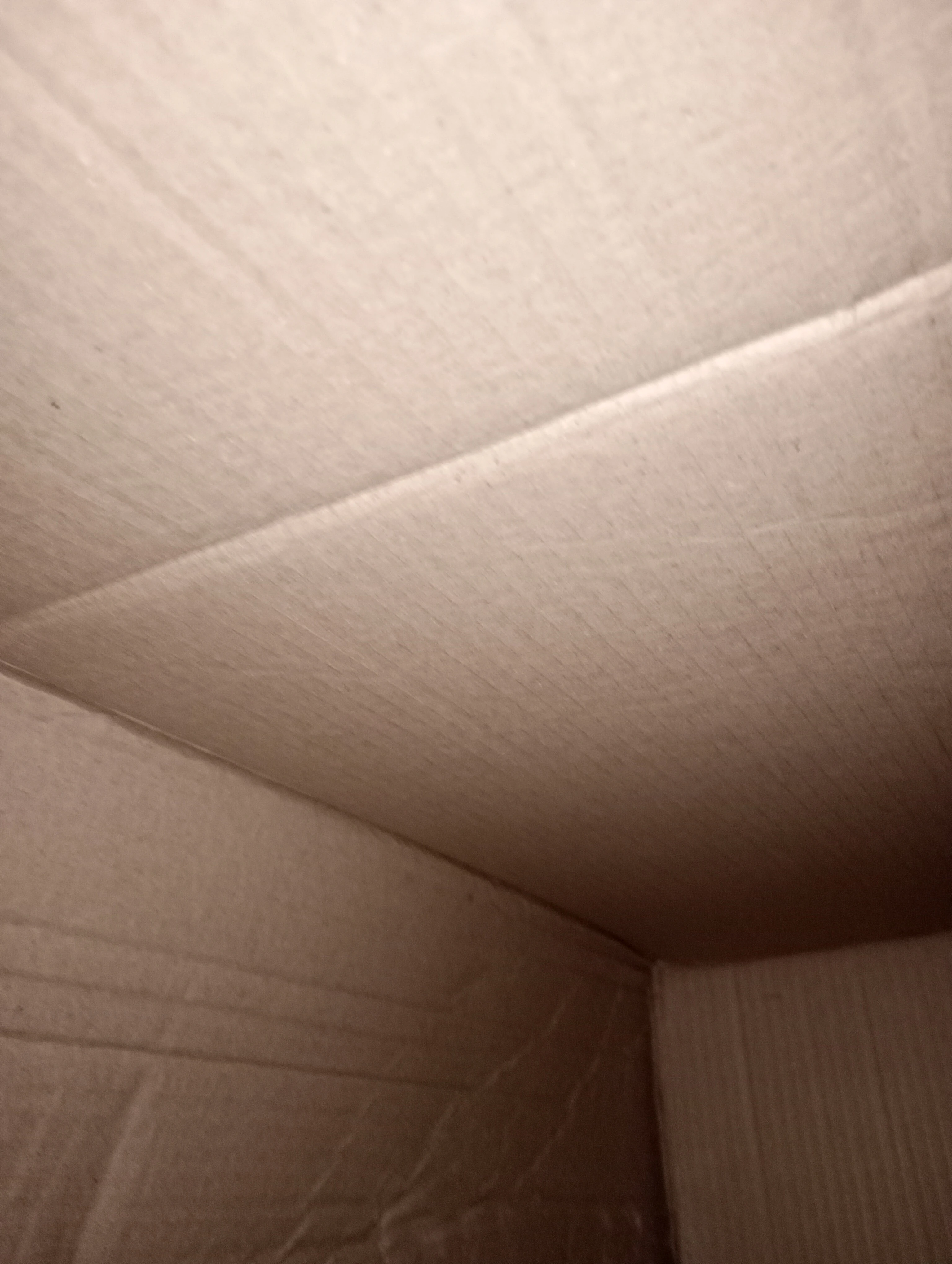 I'm in a box and i'm not elaborating. | Fandom