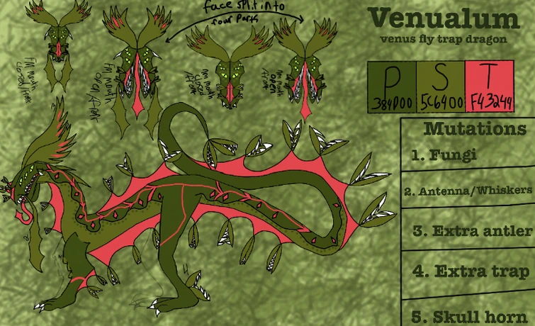 Venualum (The Venus fly trap dragon) | Fandom