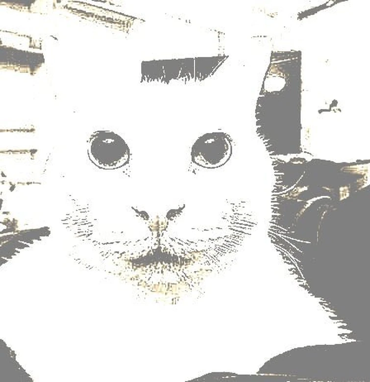 How much will jabble be when hype dies down? | Fandom