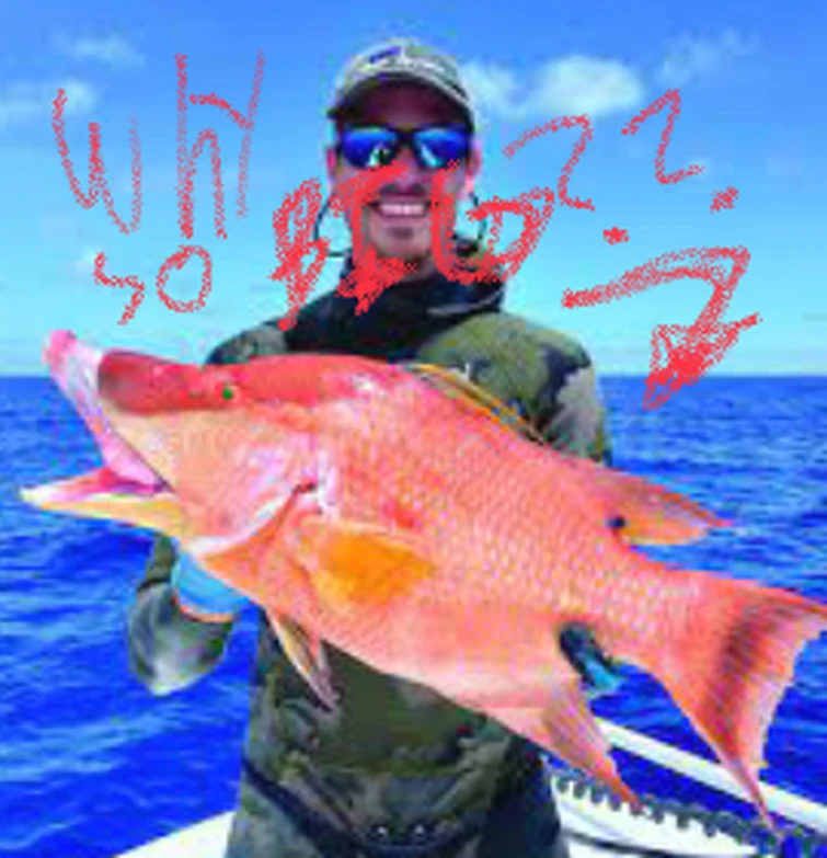 I hate this fish sm | Fandom