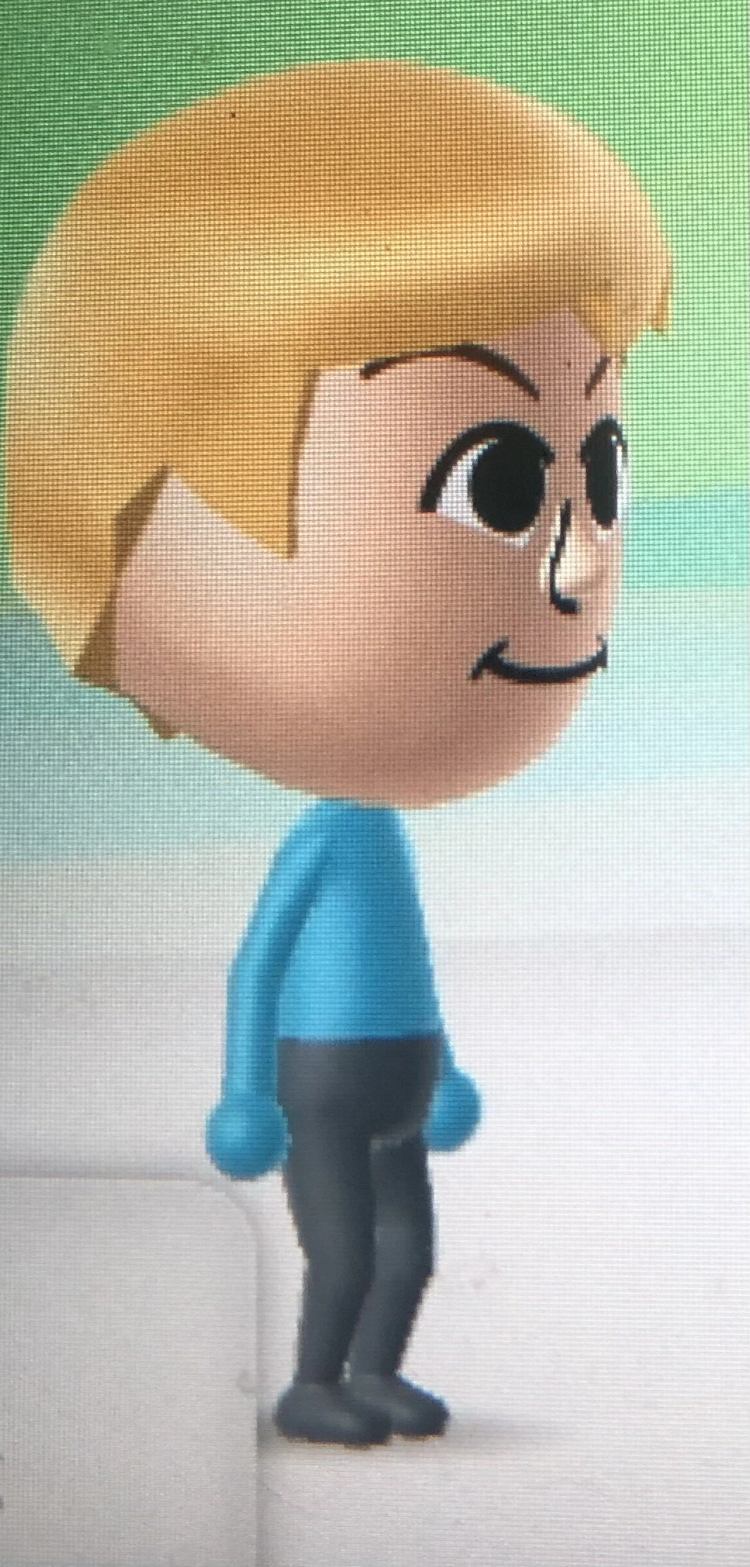 Sunny as a mii | Fandom