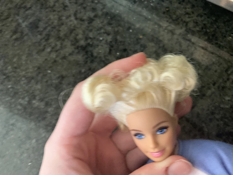 my sister barbie got that perm | Fandom