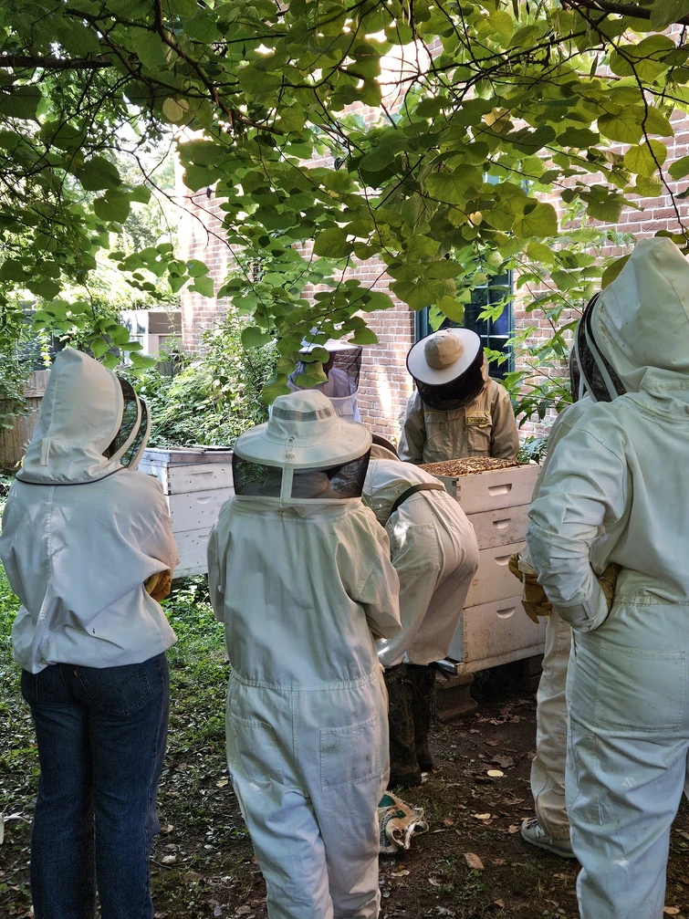 Honey Valley IRL | Fandom