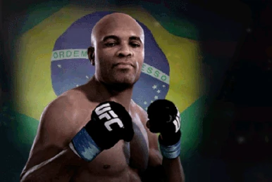 Anderson Silva Kick Gif