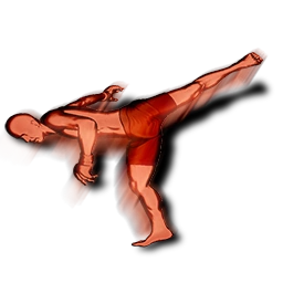 Spinning Side Kick | EA UFC Mobile Wiki | Fandom