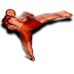 Jumpround Kick | EA UFC Mobile Wiki | Fandom