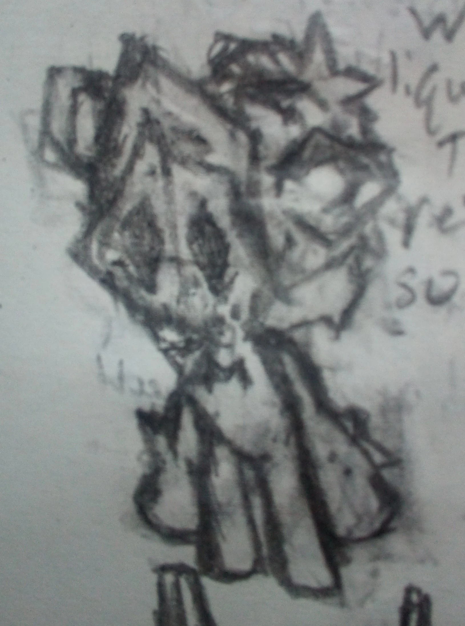 Senior Bear | Fandom