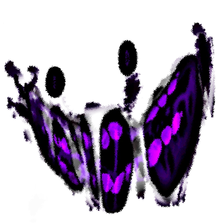 H-Section (My section fanmade) | Fandom