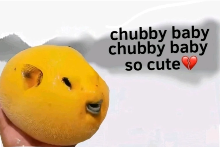 Chubby baby chubby baby so cute | Fandom