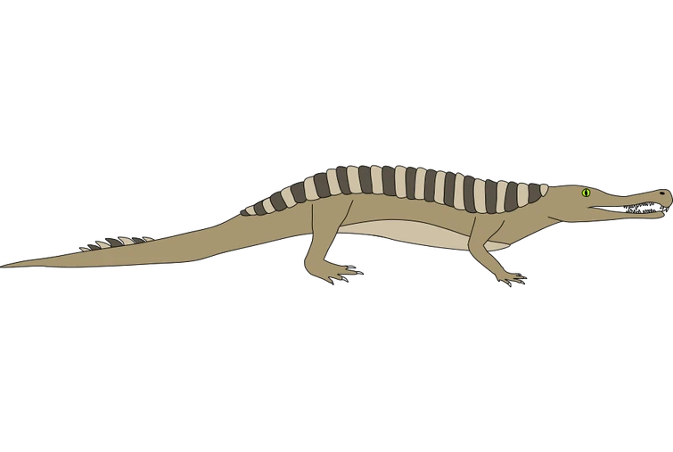 Reconstruction of Sarcosuchus | Fandom