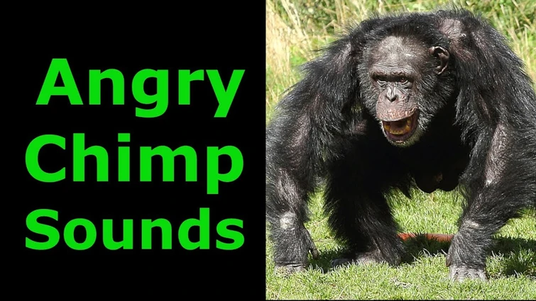 Petition for Devs to at least try to make a snake that doesn't fly ...