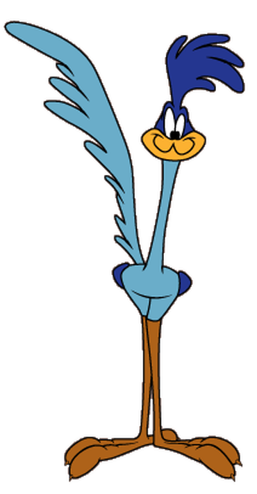 Roadrunner vs sonic (looney tunes vs sonic the hedgehog) | Fandom