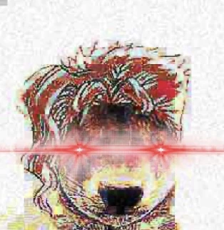 Last chance to tell me to update your pfp to a deep fried meme | Fandom