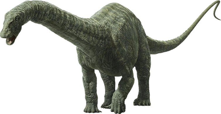 Apatosaurus | Fandom