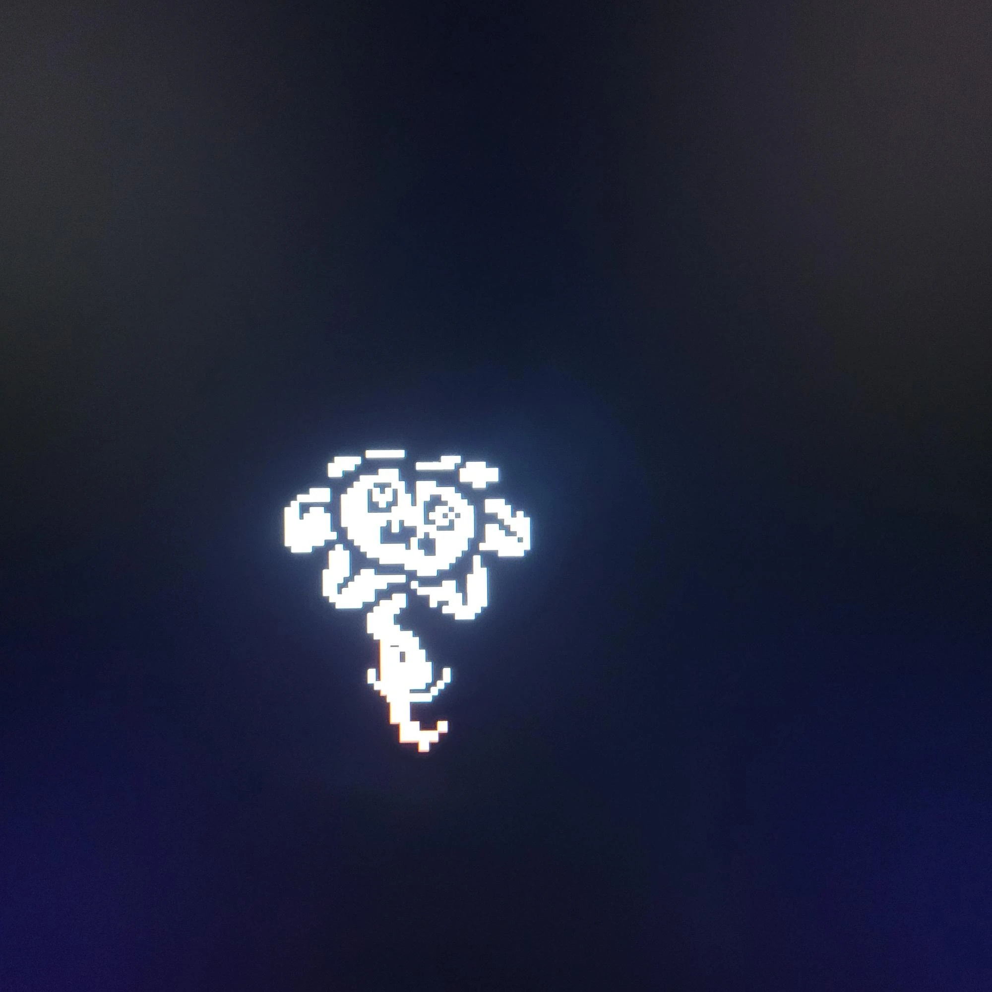 Thoughts on Floweys death | Fandom