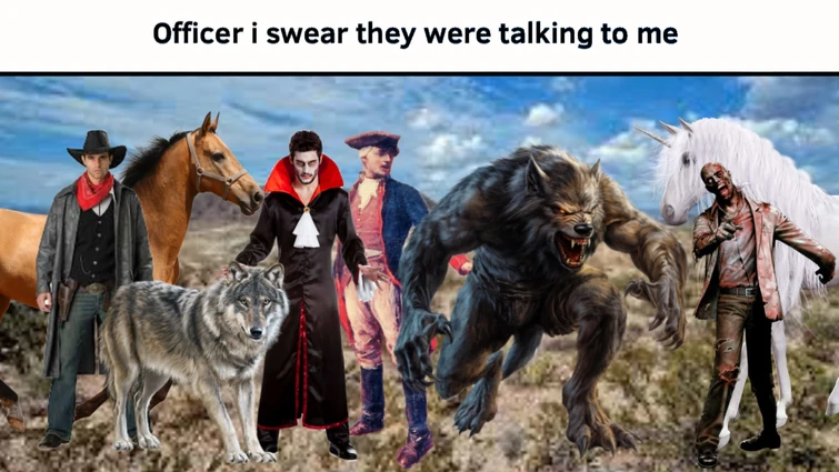 Officer I swear they were talking to me | Fandom