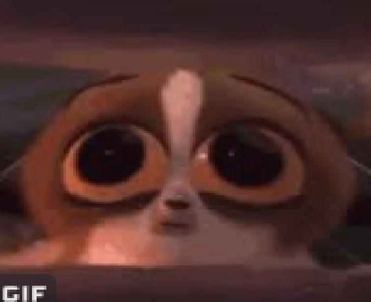 pov: your an eight year old who just joined cos for the first time ...