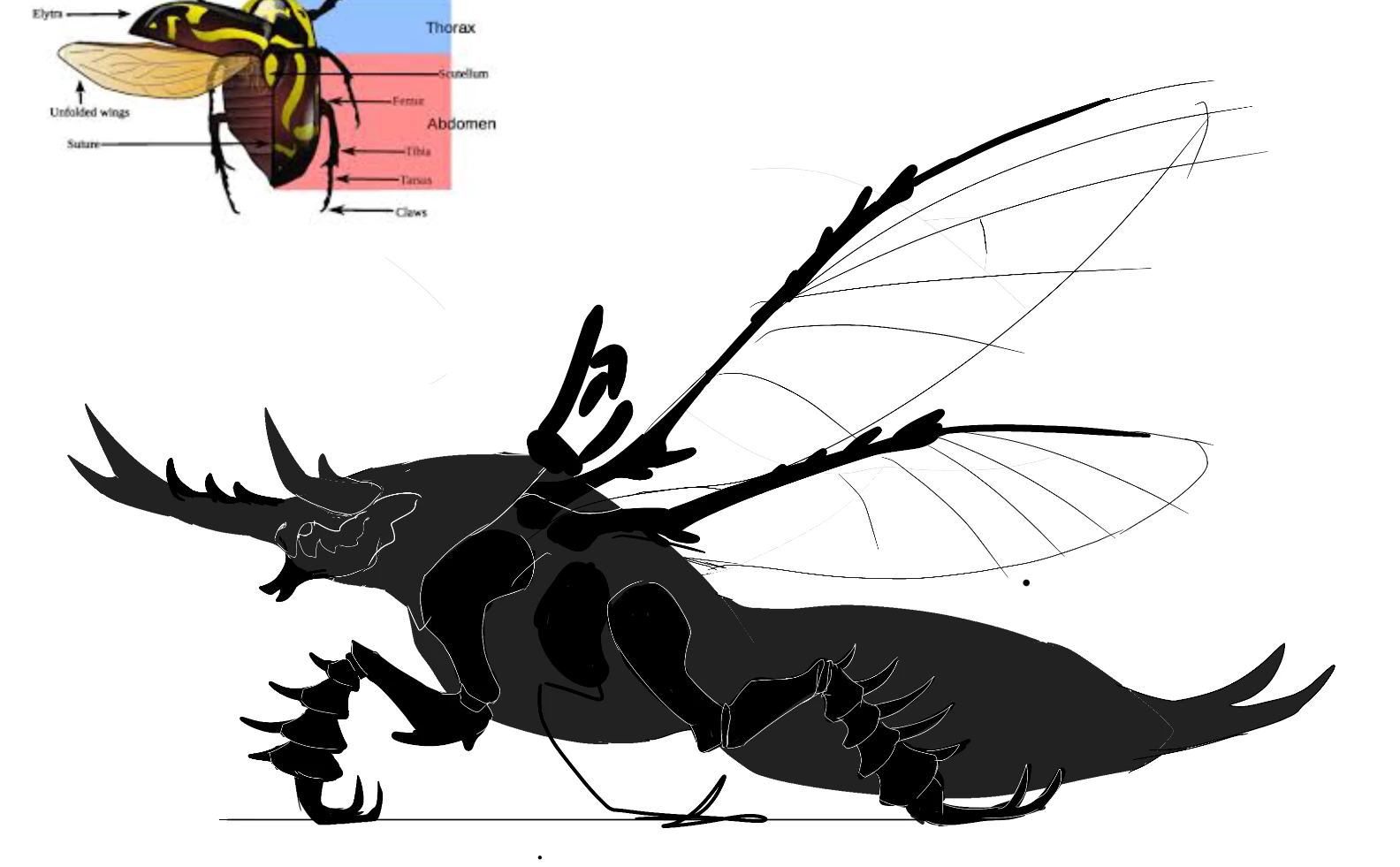 Beetle dragon | Fandom
