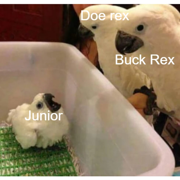 Welcome to Jurassic memes of the holy grail. (warning JWCC Season 3 ...