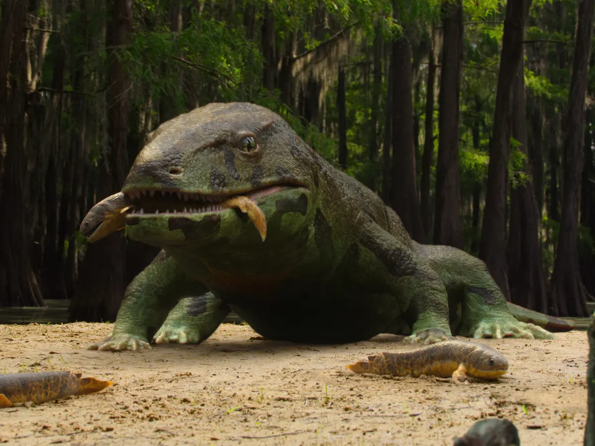 Dinopedia says one positive thing about Life On Our Planet. | Fandom