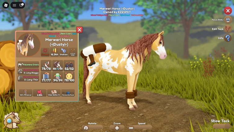 another horsey, another tack set.. | Fandom