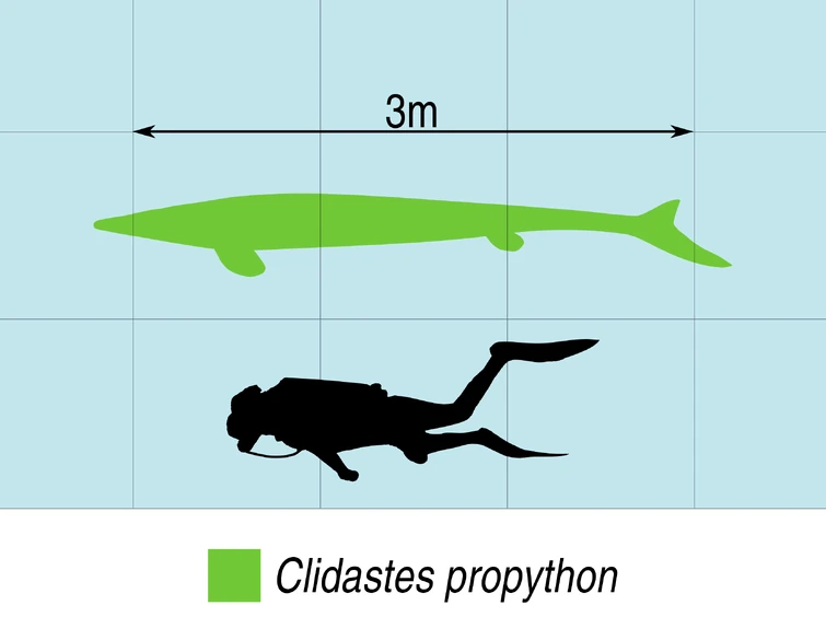 Platecarpus | Fandom