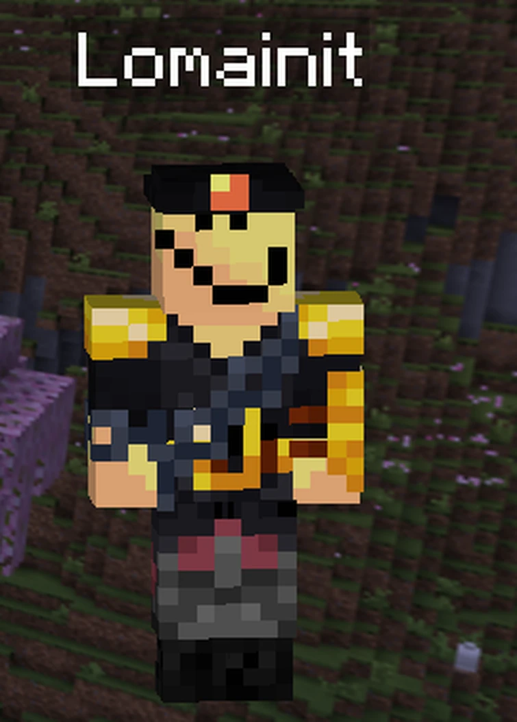 Rate my mc skin | Fandom