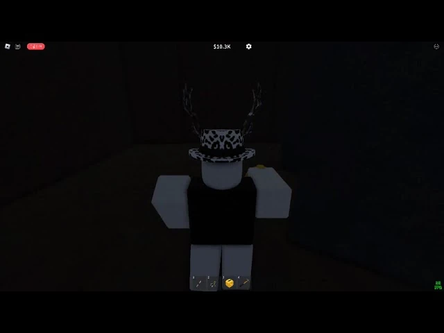 Shiny Key Use/Meteorite Totem?? | Fandom