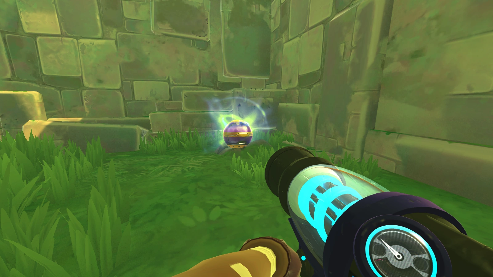 Lucky Slime Pod. It's near the Boom Gordo, can't describe it better ...