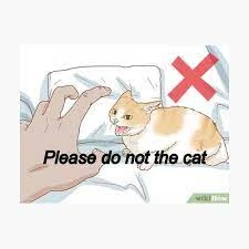 Please Do not the cat | Fandom