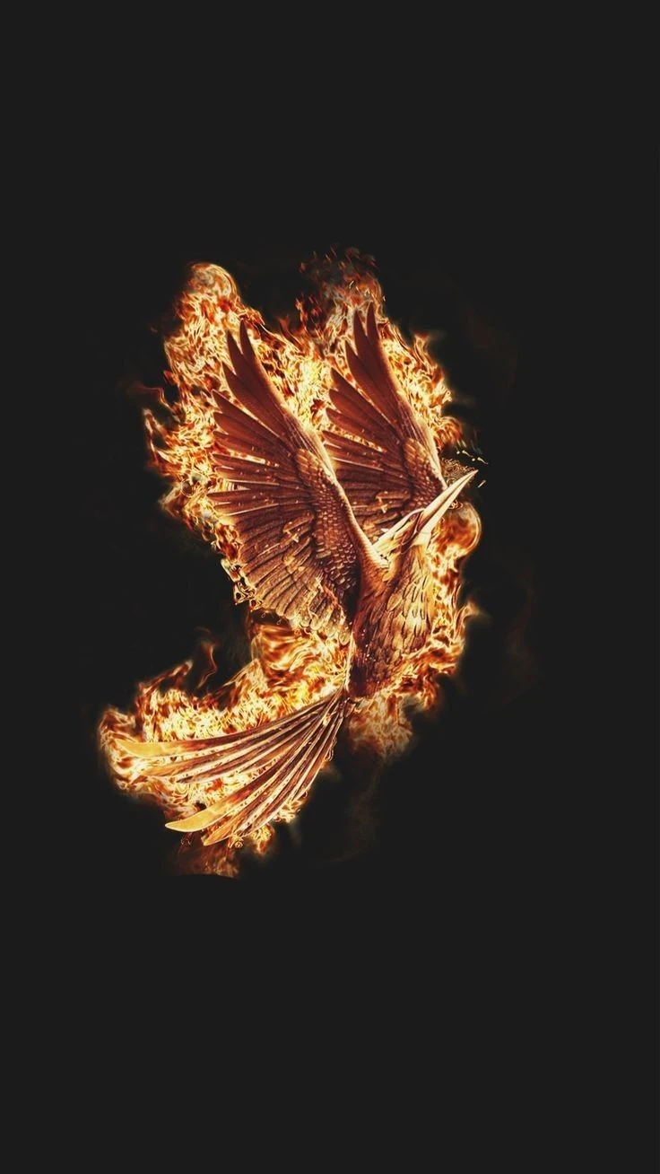 HG phone wallpapers | Fandom
