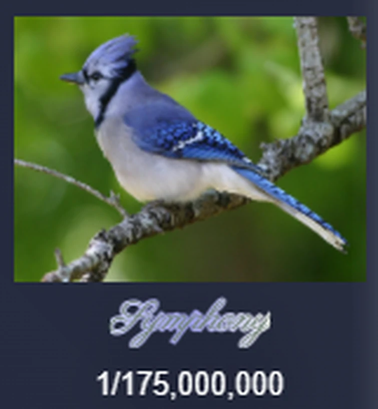 more bird rng birds | Fandom