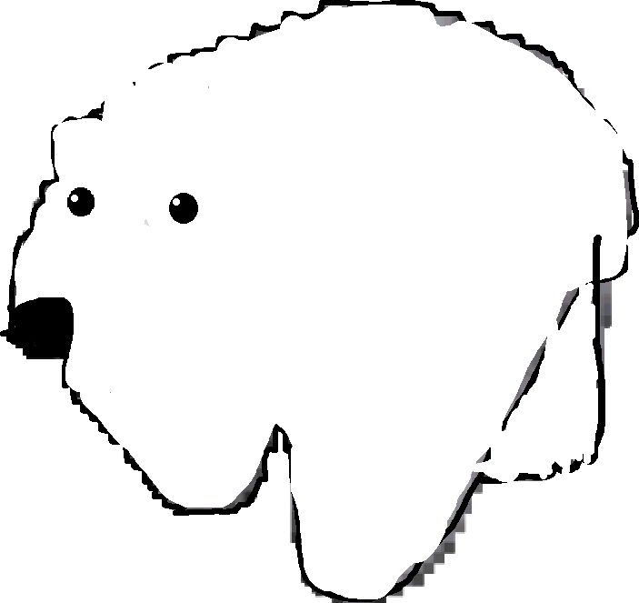 the cute polb | Fandom