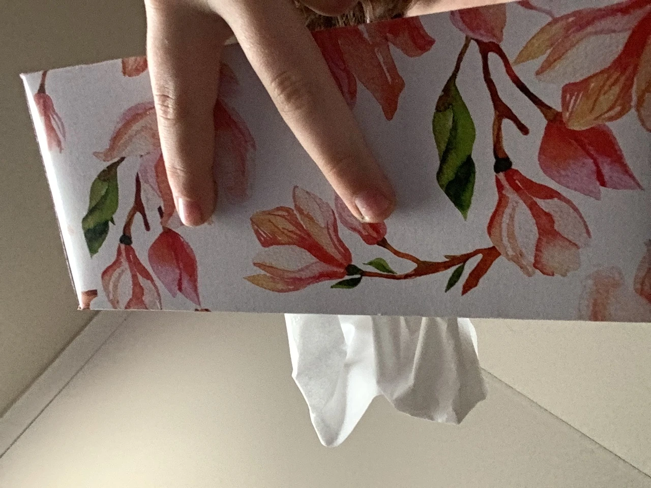 Me getting ready for WAD | Fandom