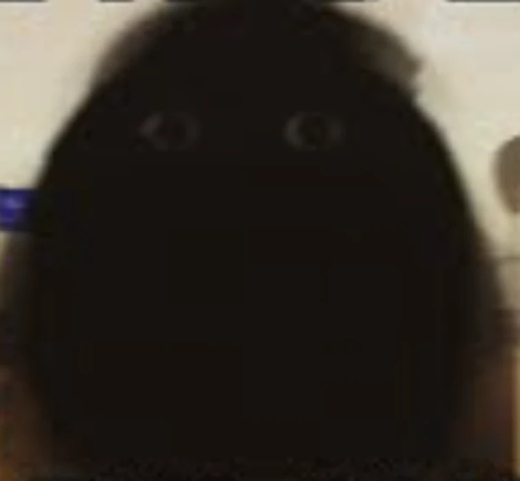 Beta Idle of angry muchi | Fandom