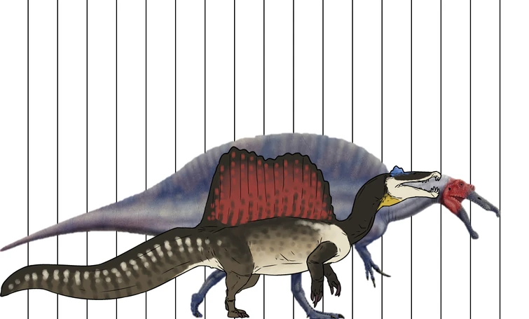 2013 Accurate Spinosaurus vs 2025 Accurate Spinosaurus Size | Fandom