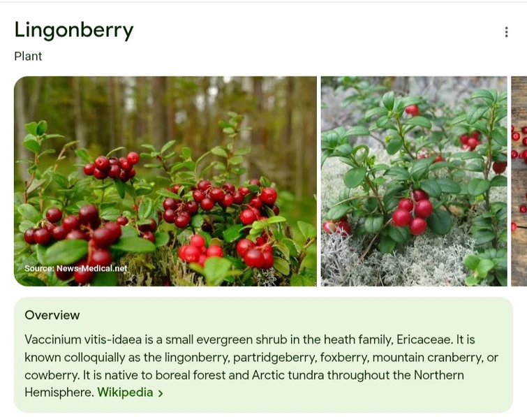 MAKE A RITUAL TO SUMMON ELDER STRAWBERRY GUYS | Fandom